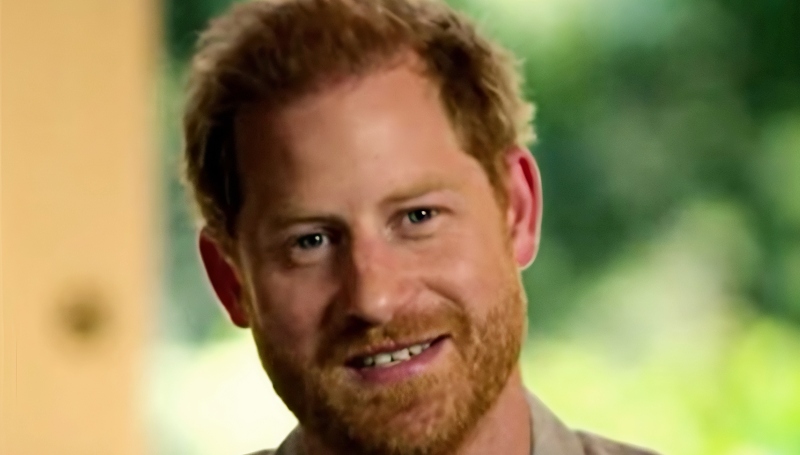 Prince Harry - YouTube - Netflix - Soap Opera Spy